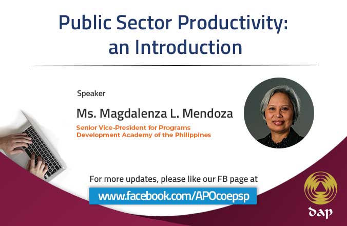 Public Sector Productivity: An Introduction - DAP