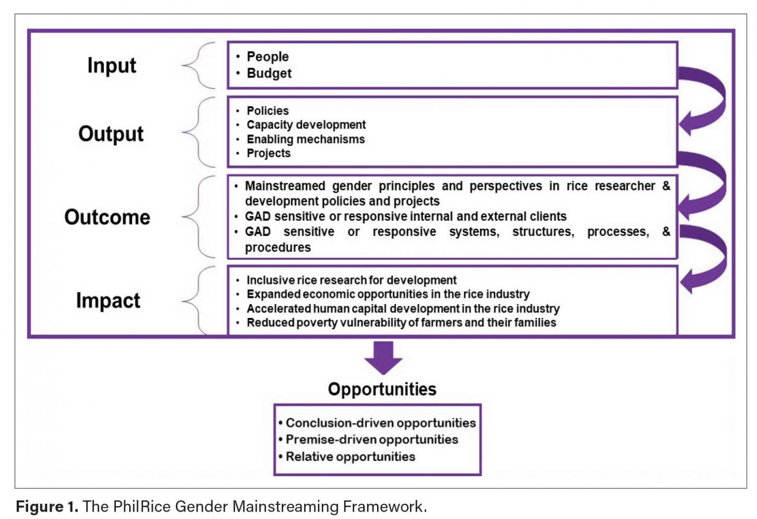 PhilRice Gender and Development (GAD) Mainstreaming - DAP