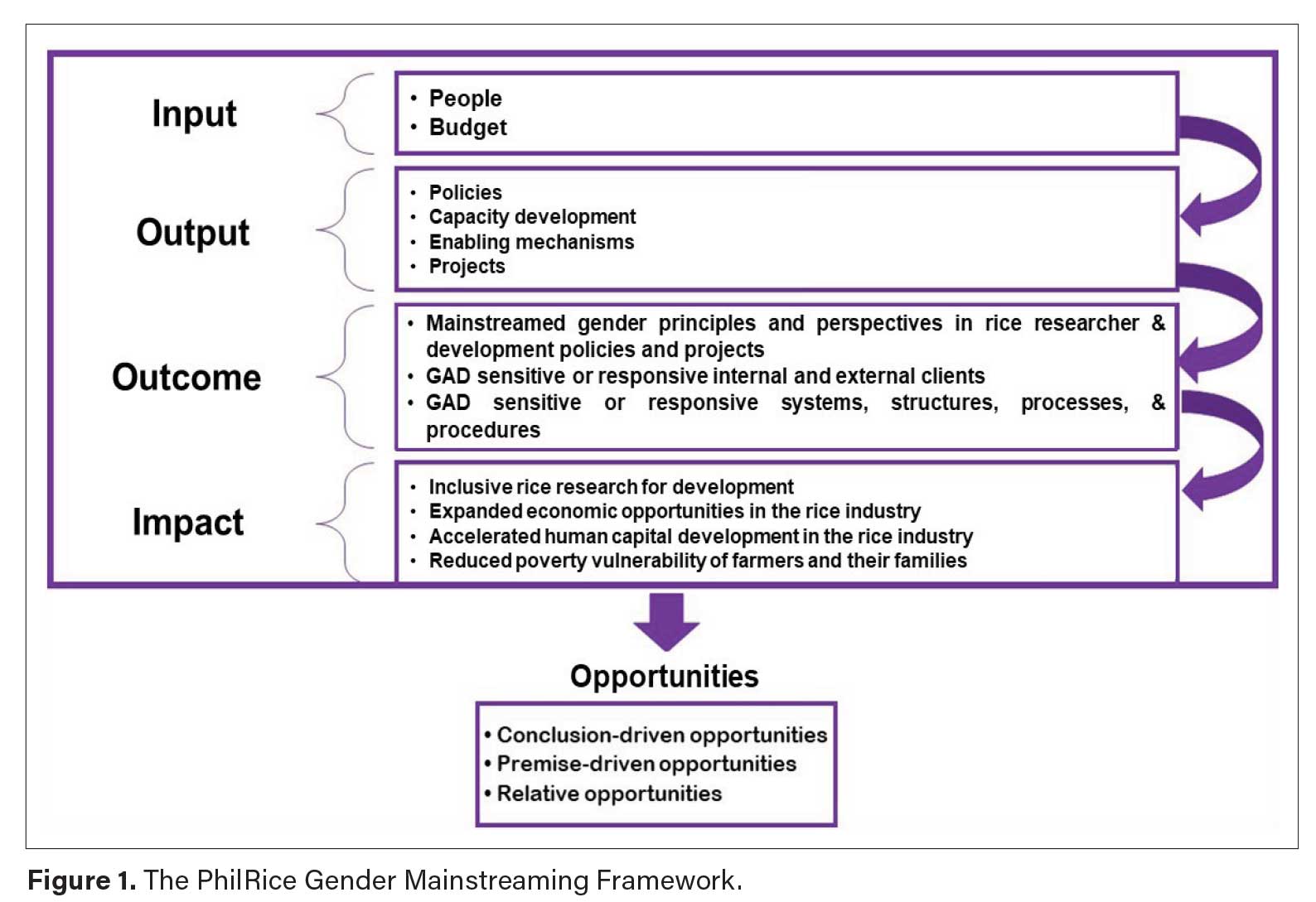 PhilRice Gender and Development (GAD) Mainstreaming - DAP