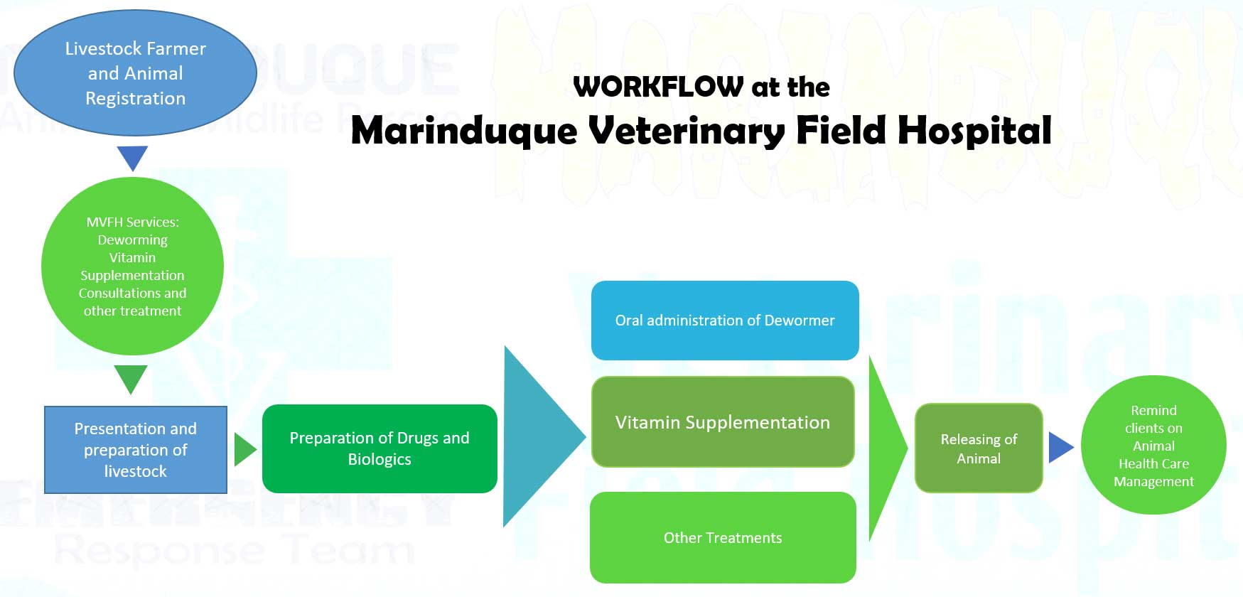 Paws of Resilience: Delivering Hope and Compassion at the Marinduque ...
