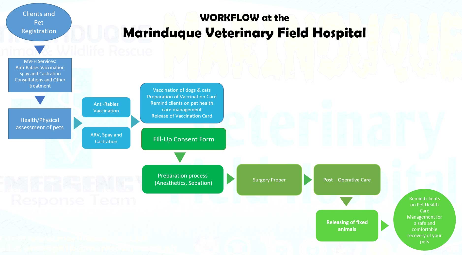 Paws of Resilience: Delivering Hope and Compassion at the Marinduque ...