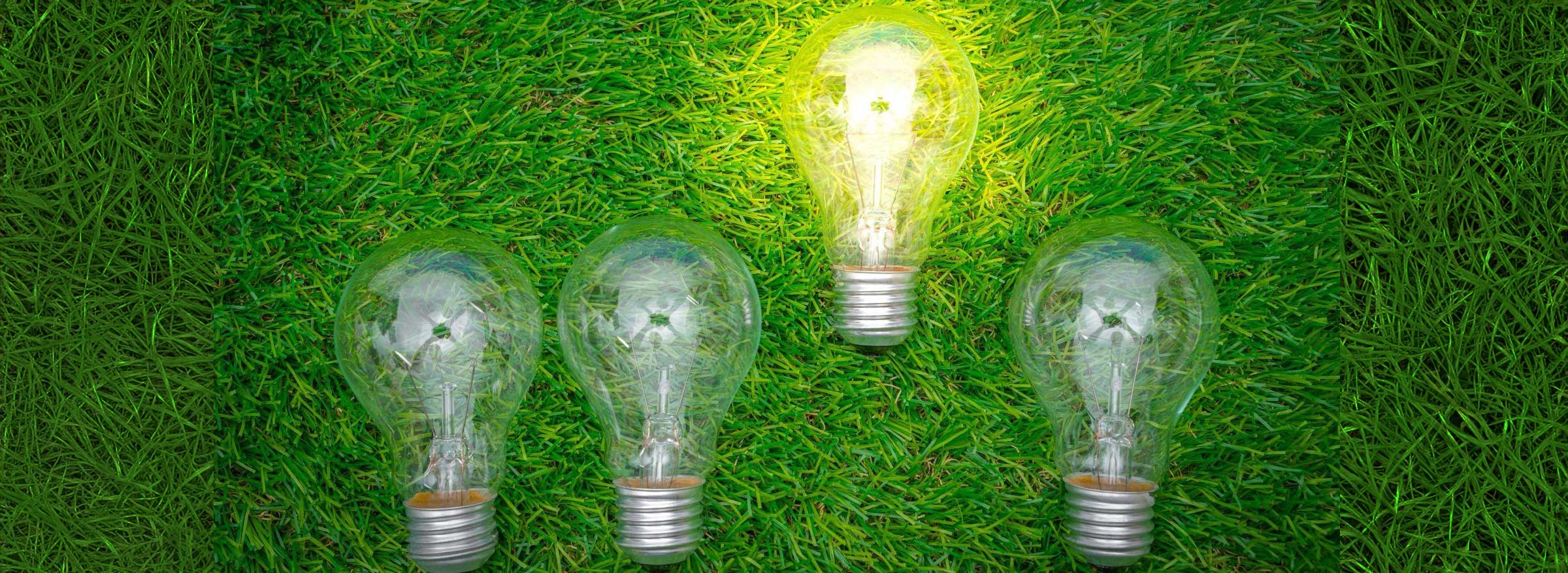 Green Transformation: Working Together Toward a Green New Deal for All ...